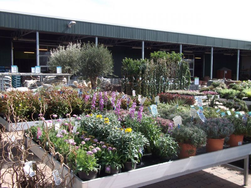 Tuincentrum Tuin! in Leeuwarden en Zwaagwesteinde