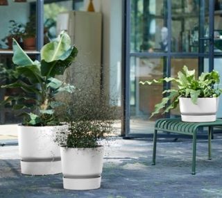 Tuincentrum Tuin! in Leeuwarden en Zwaagwesteinde